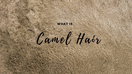 What is Camel Hair? Nature's Luxury Wool from the Bactrian Camel – Jet&Bo