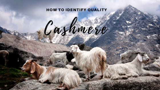 Understanding Cashmere + How to Identify Quality Cashmere – Jet&Bo